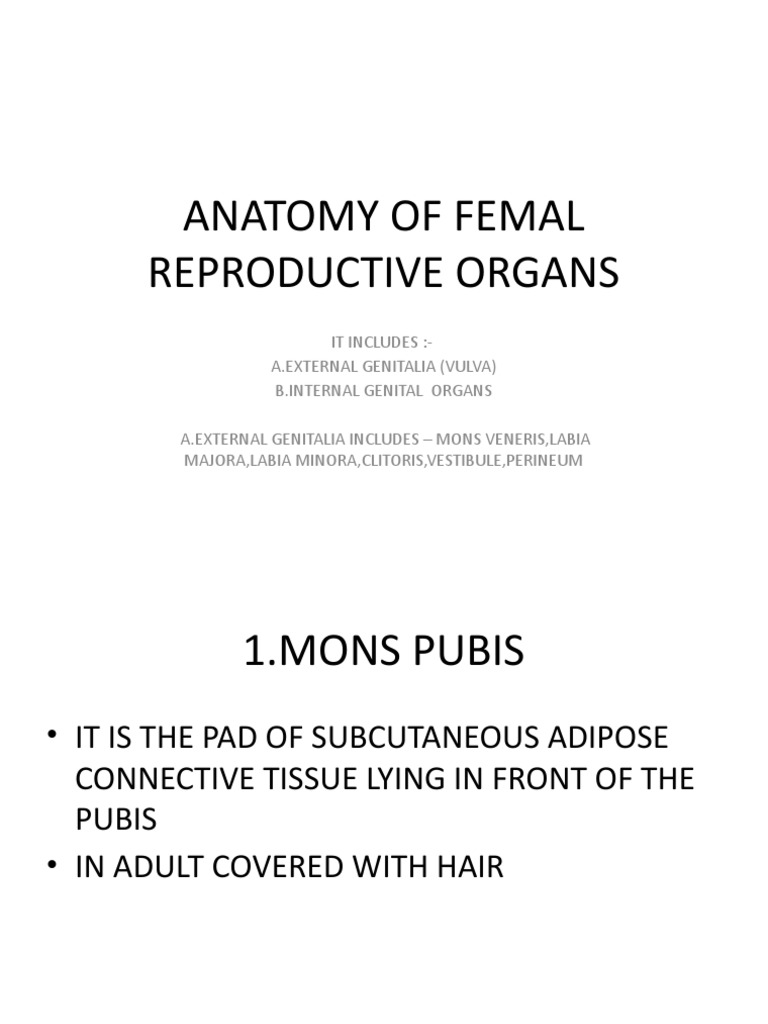Final Proff Gynae Ratan Mondal ANATOMY | PDF | Labia | Urinary Bladder