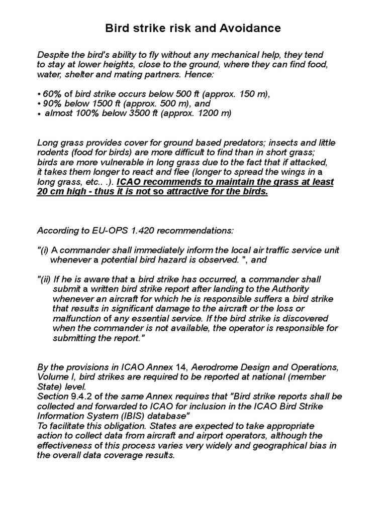 Bird Strike Risk and Avoidance Strategies | PDF | Birds | Risk