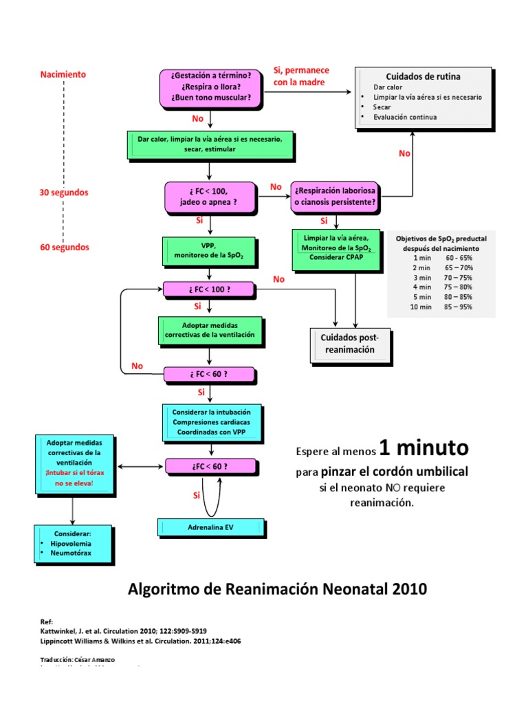 Algoritmo Rcp Neonatal 2010