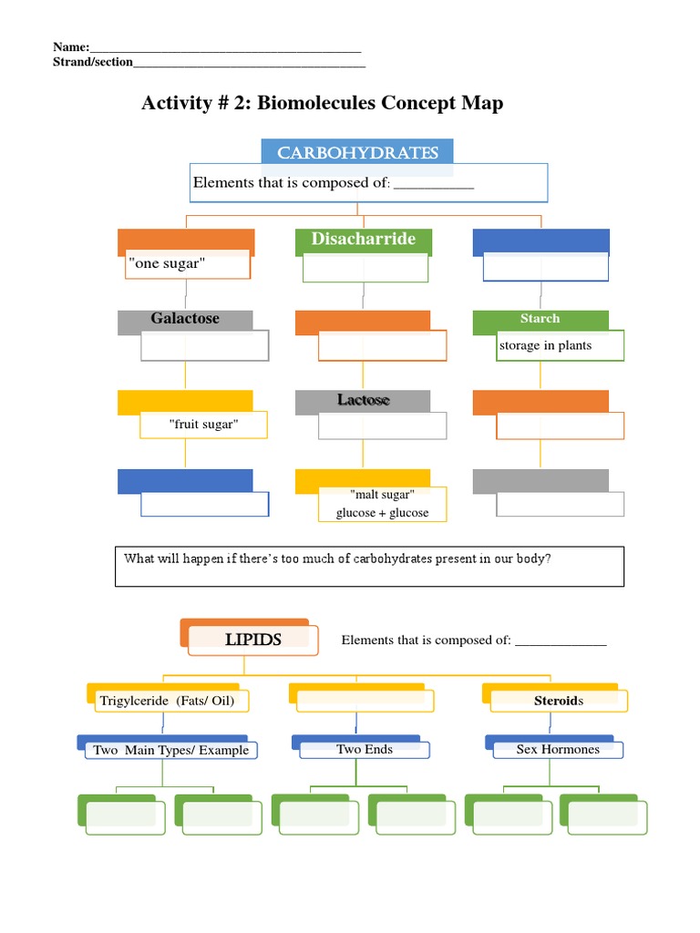 Activity # 2: Biomolecules Concept Map: Elements That Is Composed of | PDF