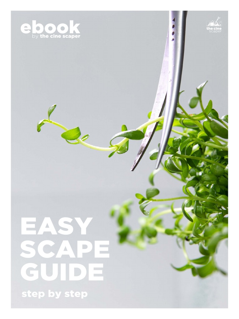 Easy Scape Guide byTheCineScaper PDF | PDF | Aquarium | Root