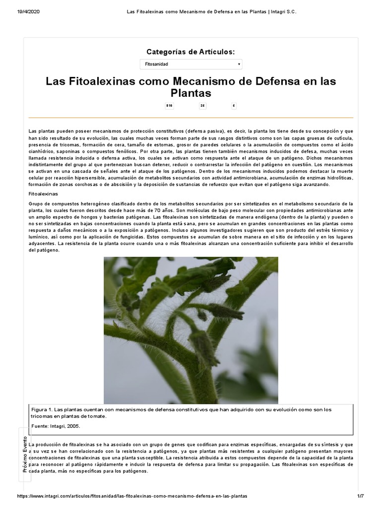 Las Fitoalexinas Como Mecanismo de Defensa en Las Plantas - Intagri S.C ...