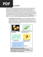 Sistemas de Roza y Quema en Agricultura | PDF | Los bosques | Agricultura