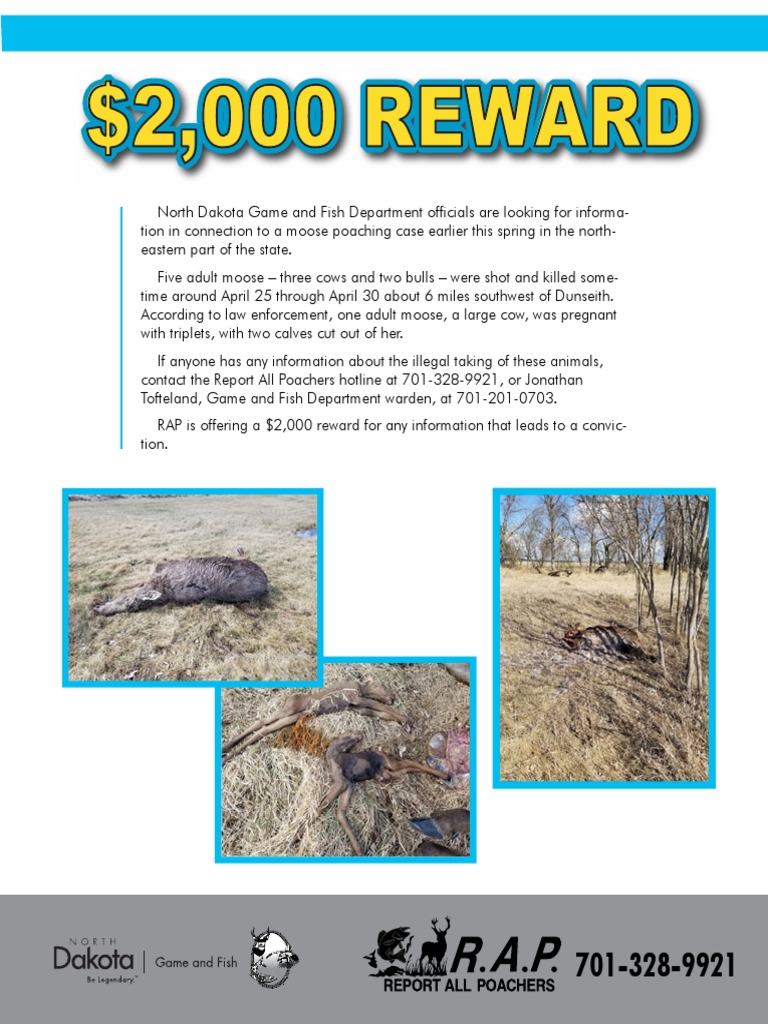 Moose Poaching Flyer 05-2020 | PDF | Mystery, Thriller & Crime Fiction