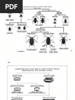 Sanitary Defects | PDF | Hexapoda | Insects And Humans