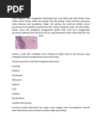 Interpretasi Hasil Pemeriksaan TCM | PDF