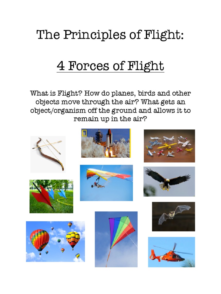 Understanding the Four Forces of Flight | PDF | Lift (Force) | Weight