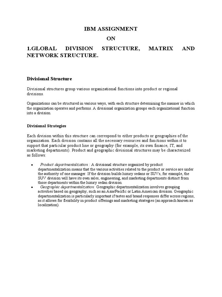 Ibm Assignment ON 1.global Division Structure, Matrix and Network Structure | PDF ...