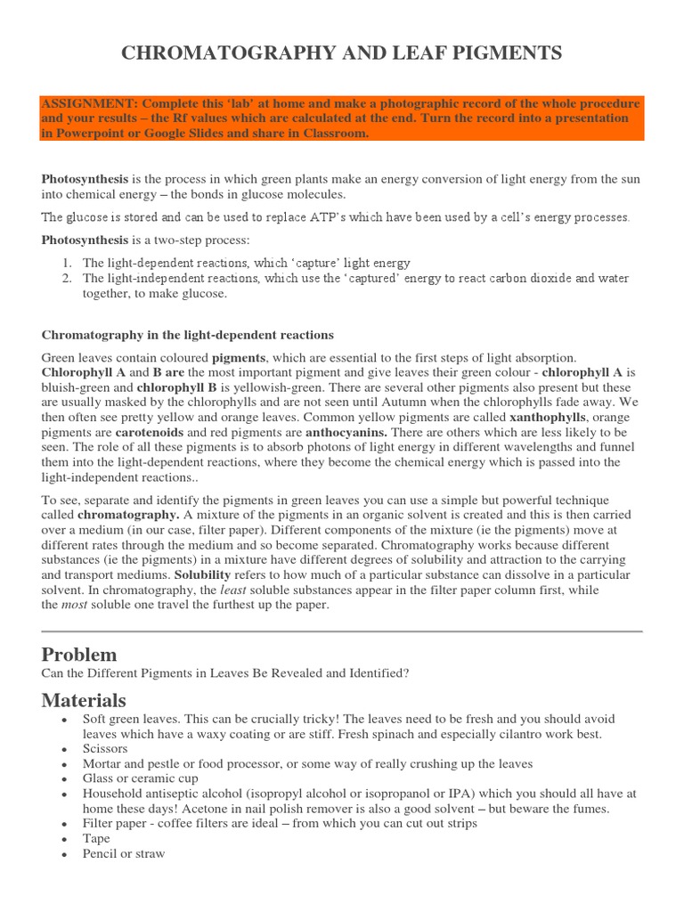 Chromatography of Photosynthetic Pigments | PDF | Photosynthesis ...