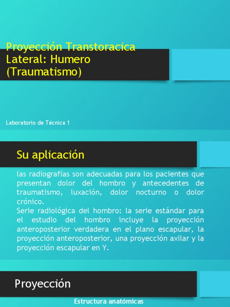 Proyección Transtoracica Lateral Humero | PDF | Hombro | Anatomía humana