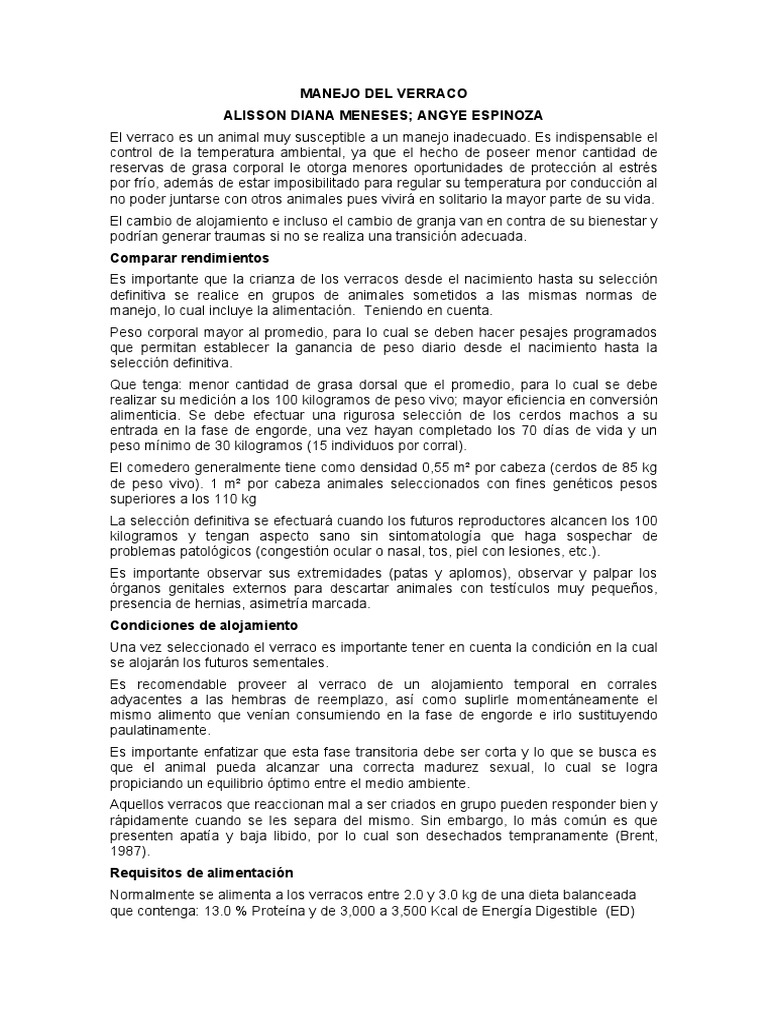 Manejo Del Verraco | PDF | Ácido Graso Omega 3 | Cerdo doméstico