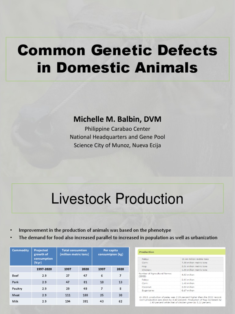 Genetic Defects in Domestic Animals | PDF | Genetic Disorder | Genetics