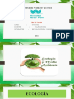 Tipos de Hojas de Acuerdo A La Forma de Su Limbo | PDF | Hoja | Botánica