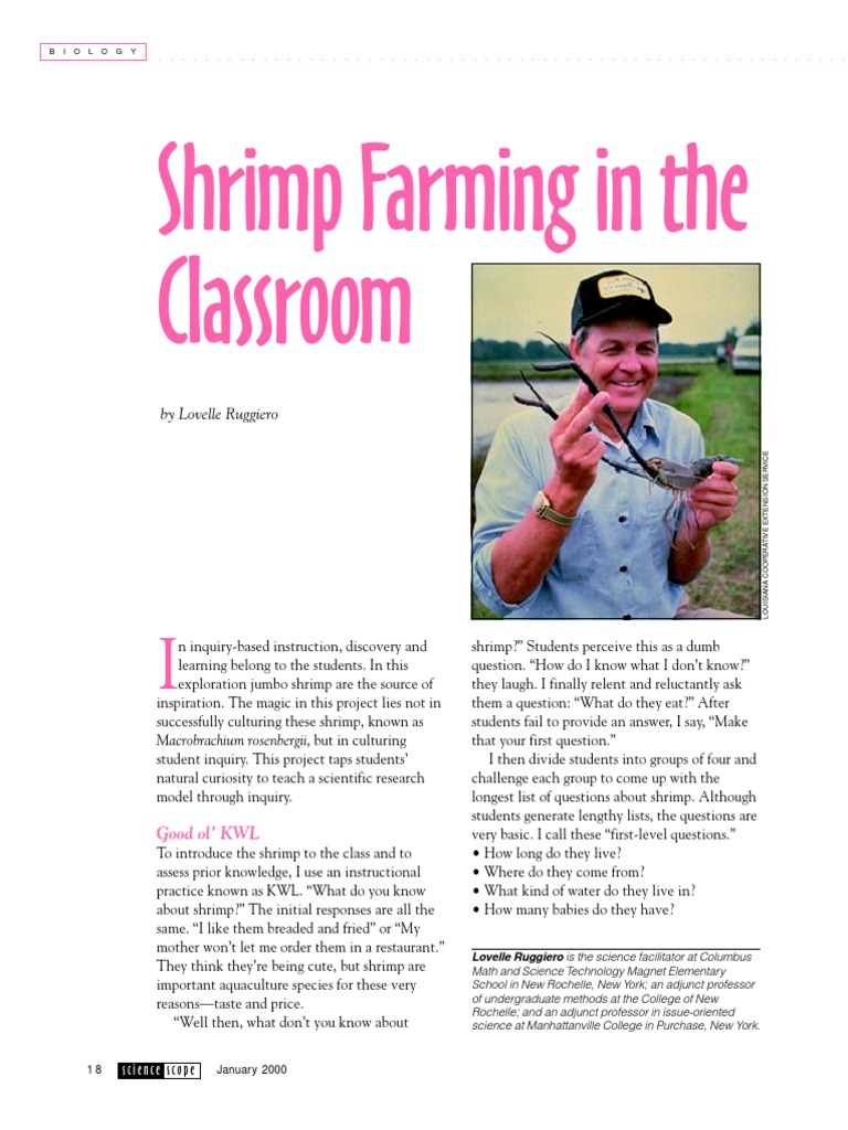 Shrimp Farming in The Classroom: by Lovelle Ruggiero | PDF | Shrimp ...