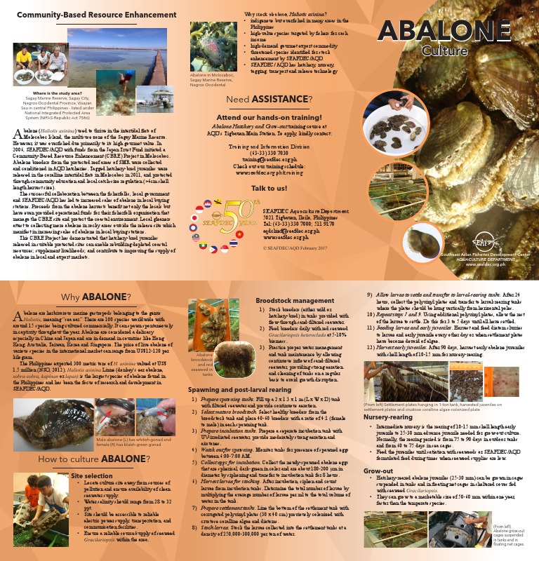 Abalone Culture Flyer | PDF | Fishing Industry | Aquaculture