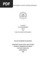 Annotated Video Script TEMPLATE Cell Cycle by Amoeba Sisters | PDF ...