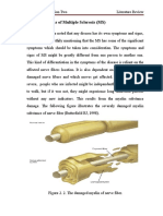 Butler Neural Mobilization | PDF | Nervous System | Nerve