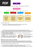 Mito de Bachué: Origen Muisca y Naturaleza | PDF