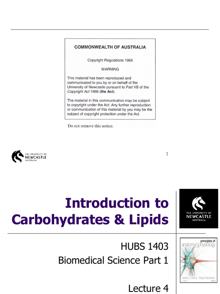 Carbohydrates and Lipids Overview | PDF | Carbohydrates | Lipid