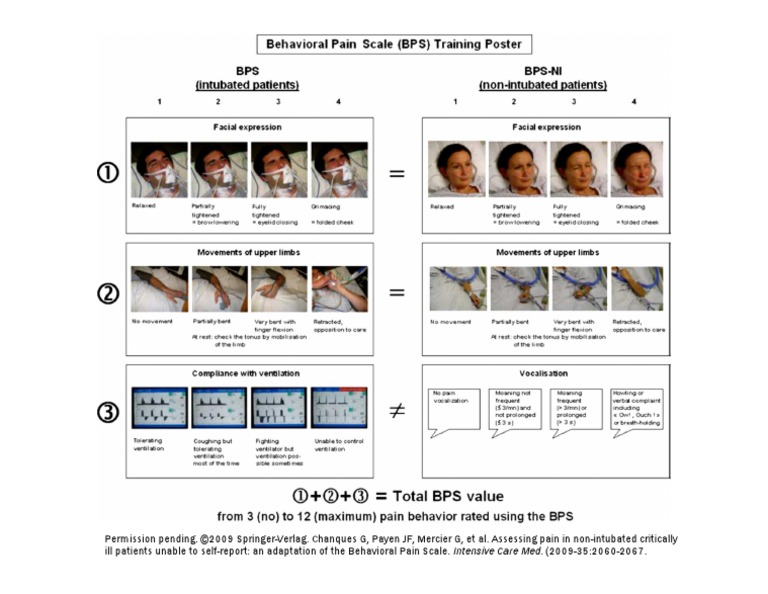 Pain Behavioral Pain Scale Training Poster PDF | PDF