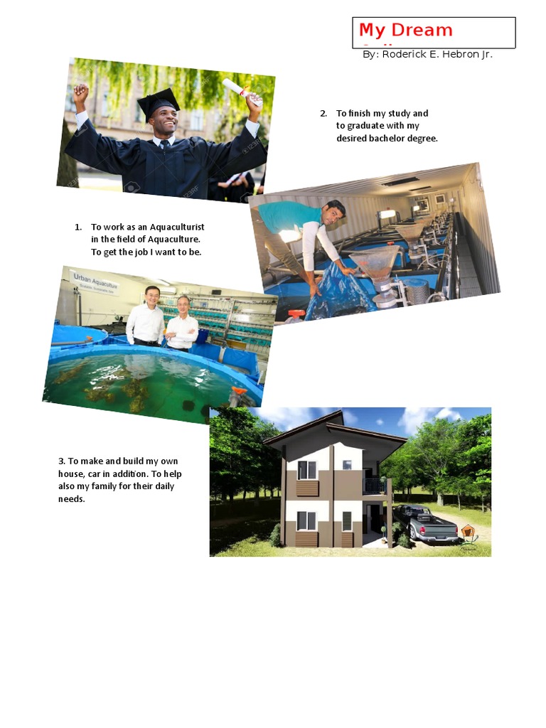 My Dream Collage | PDF