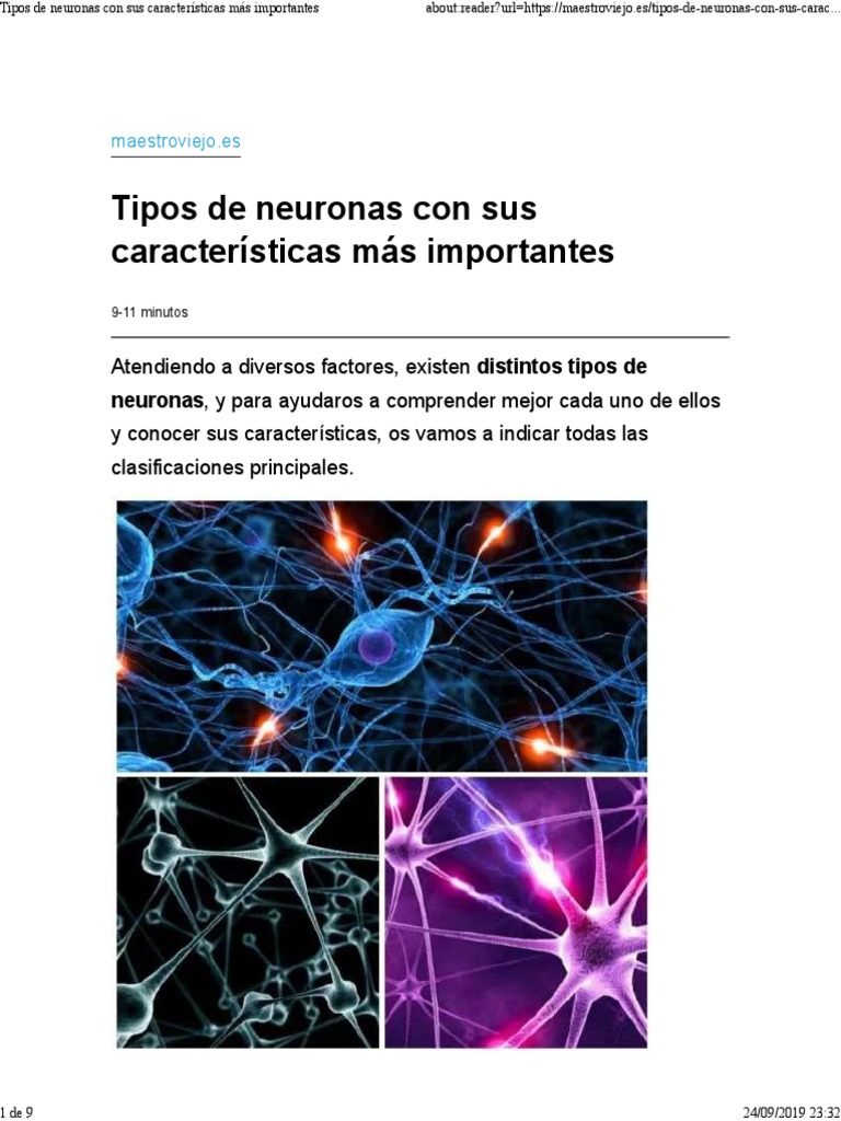 Artic - Tipos de Neuronas Con Sus Características Más Importantes | PDF ...