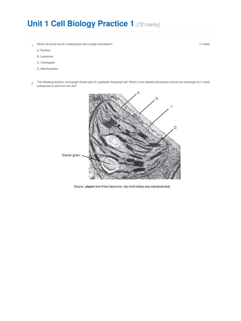 Unit 1 Cell Biology Practice 1: (72 Marks) | PDF | Cell (Biology ...