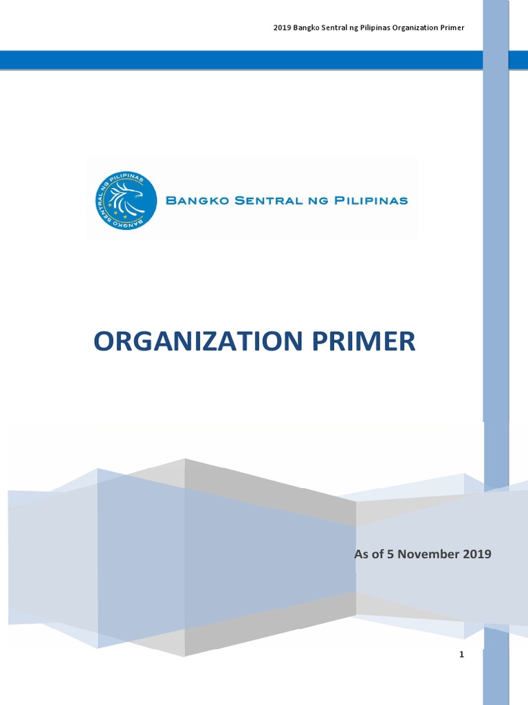 BSP Org Primer | PDF | Money Laundering | Internal Audit