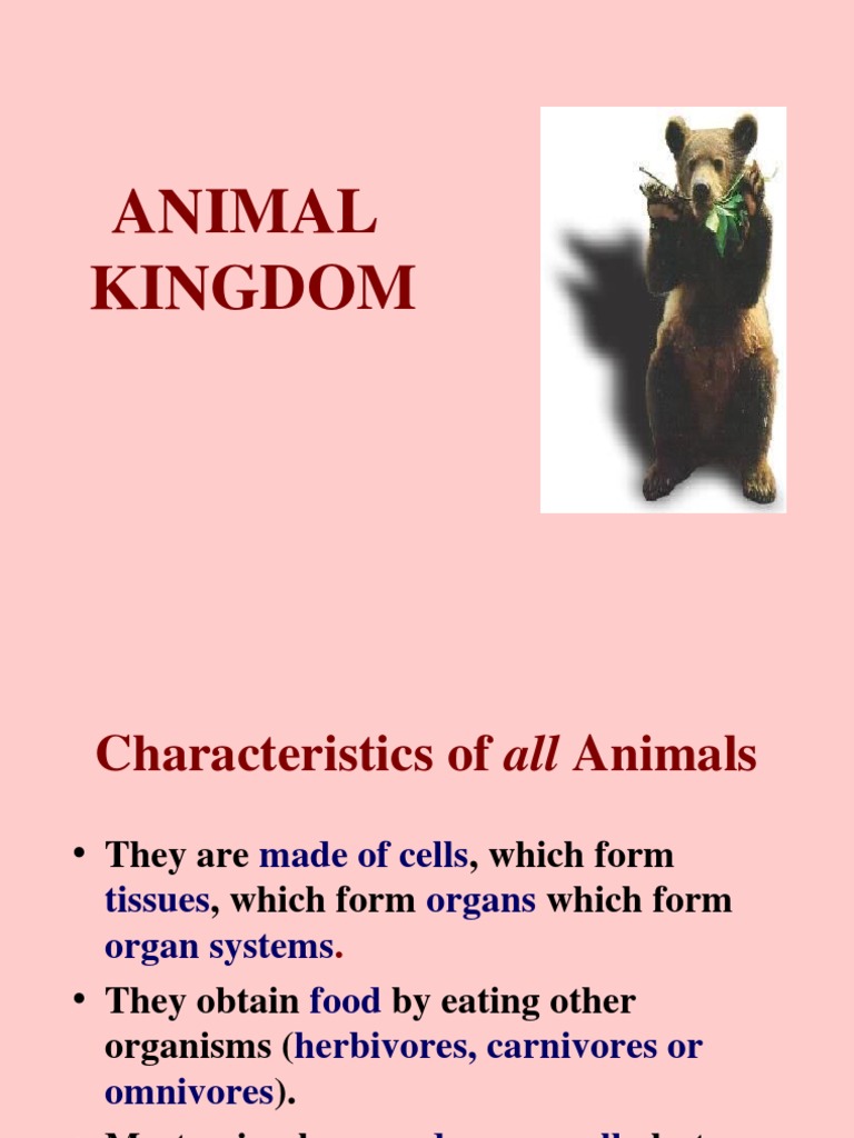 Understanding the Animal Kingdom: A Comprehensive Breakdown of Animal ...