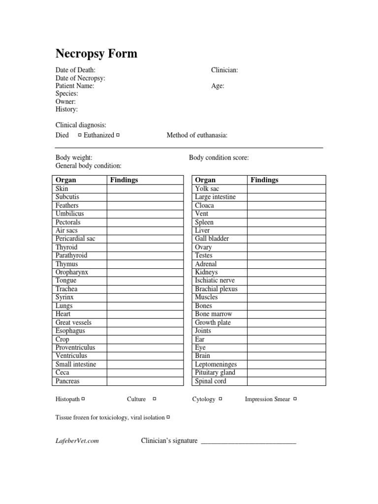Necropsy Form: Organ Findings Findings | PDF