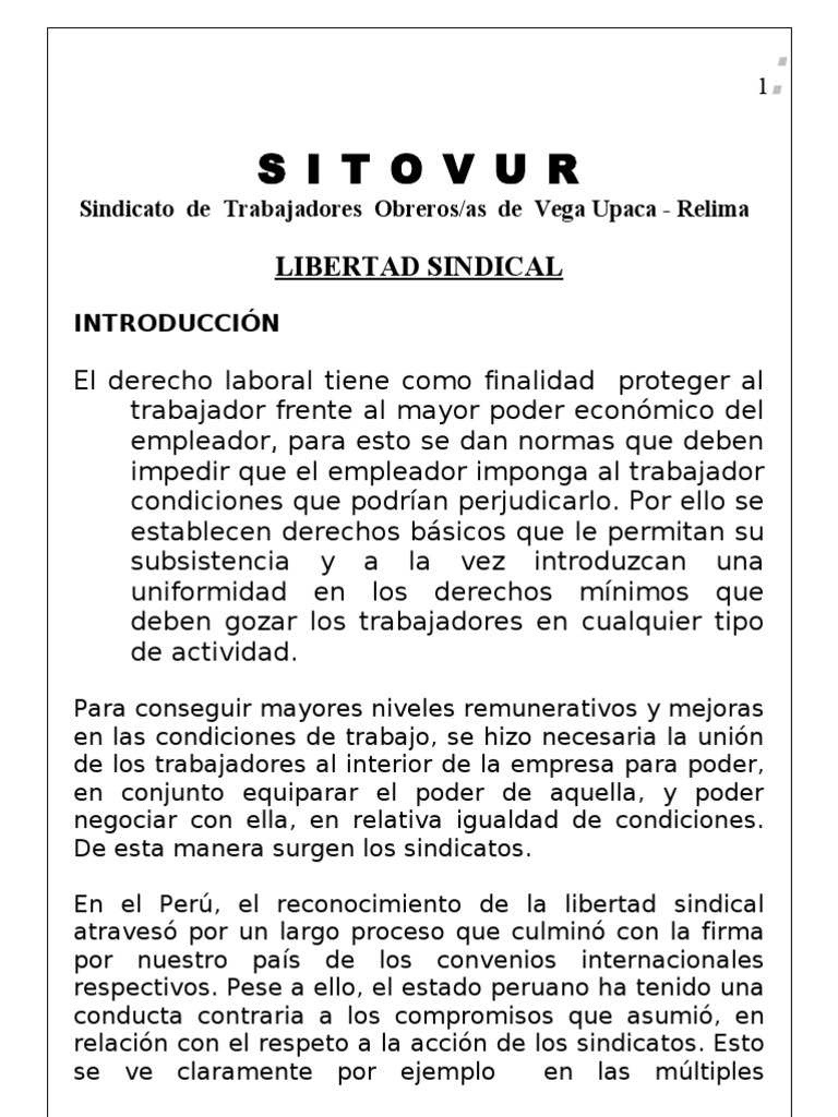Libertad Sindical | PDF | Sindicato | Derecho laboral