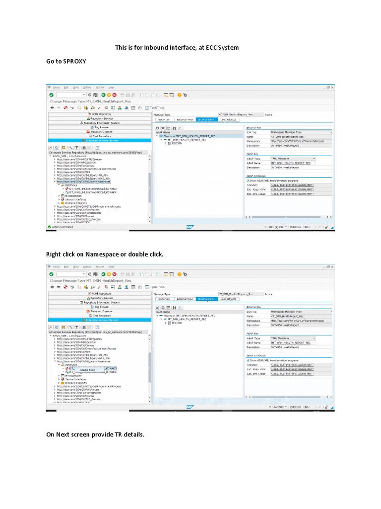 This Is For Inbound Interface, at ECC System Go To Sproxy | PDF
