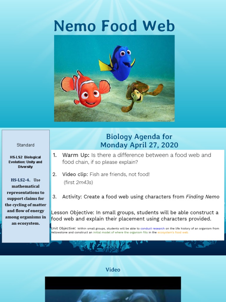 Nemo Food Web | PDF