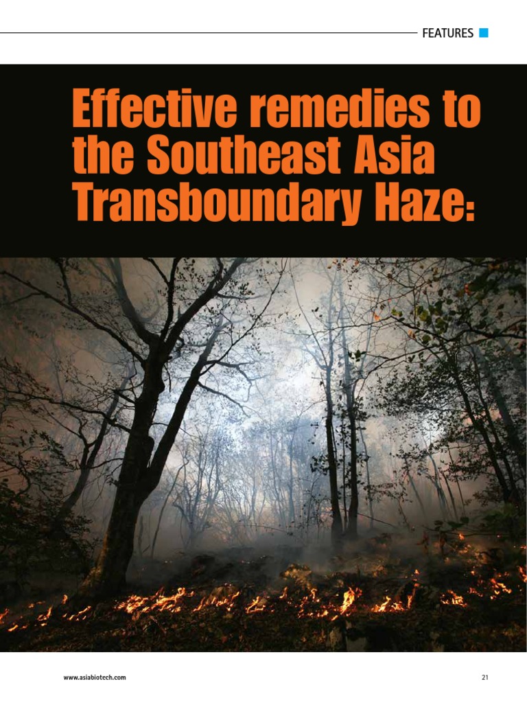 Effective remedies to Southeast Asia haze problems | PDF ...