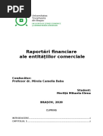 Activul Net Contabil Corectat | PDF