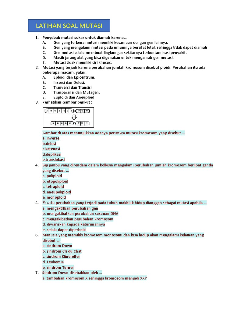 Contoh Soal Mutasi | PDF