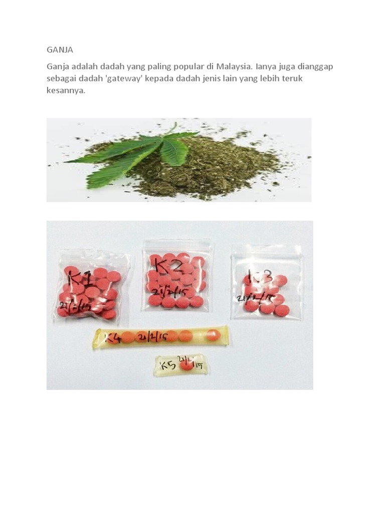 Jenis-Jenis Dadah | PDF