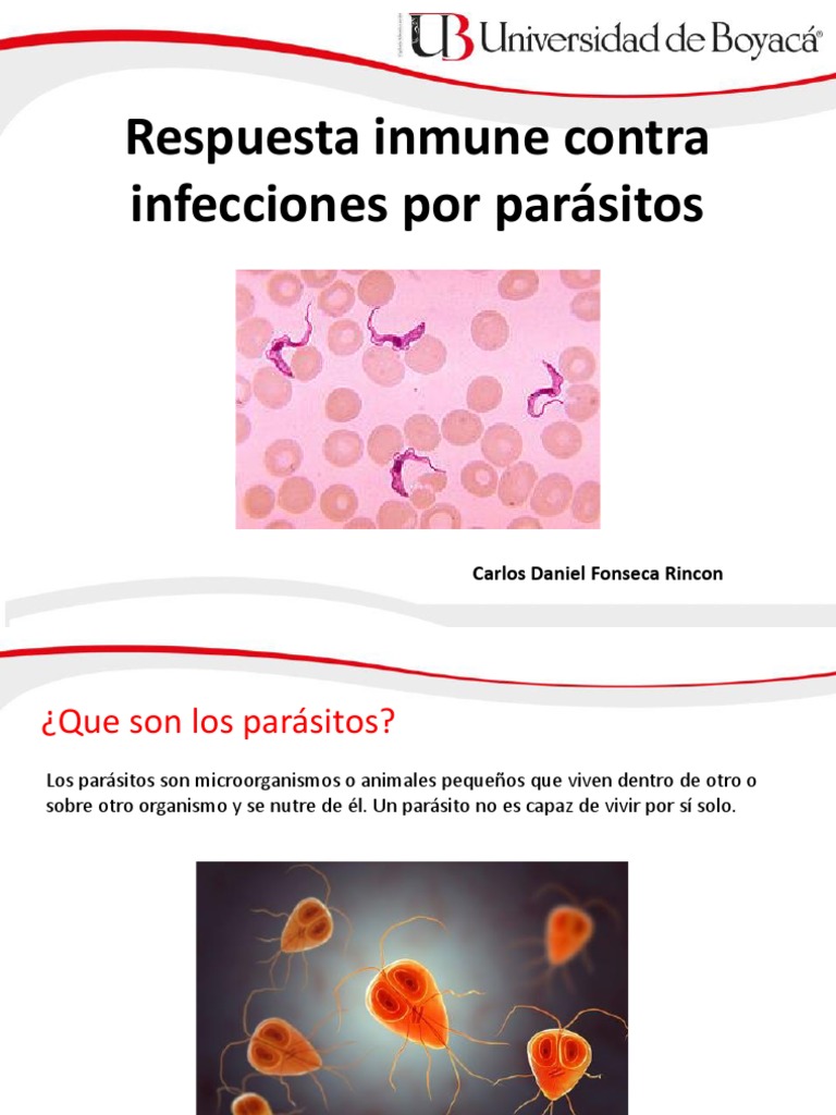Respuesta Inmune Parasitos PDF | PDF | Citocina | T Helper Cell