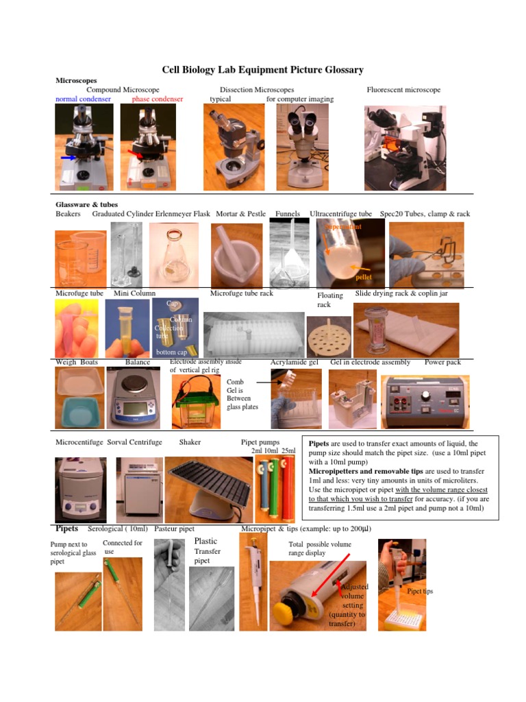 Cell Biology Lab Equipment Picture Glossary: Normal Condenser | PDF ...