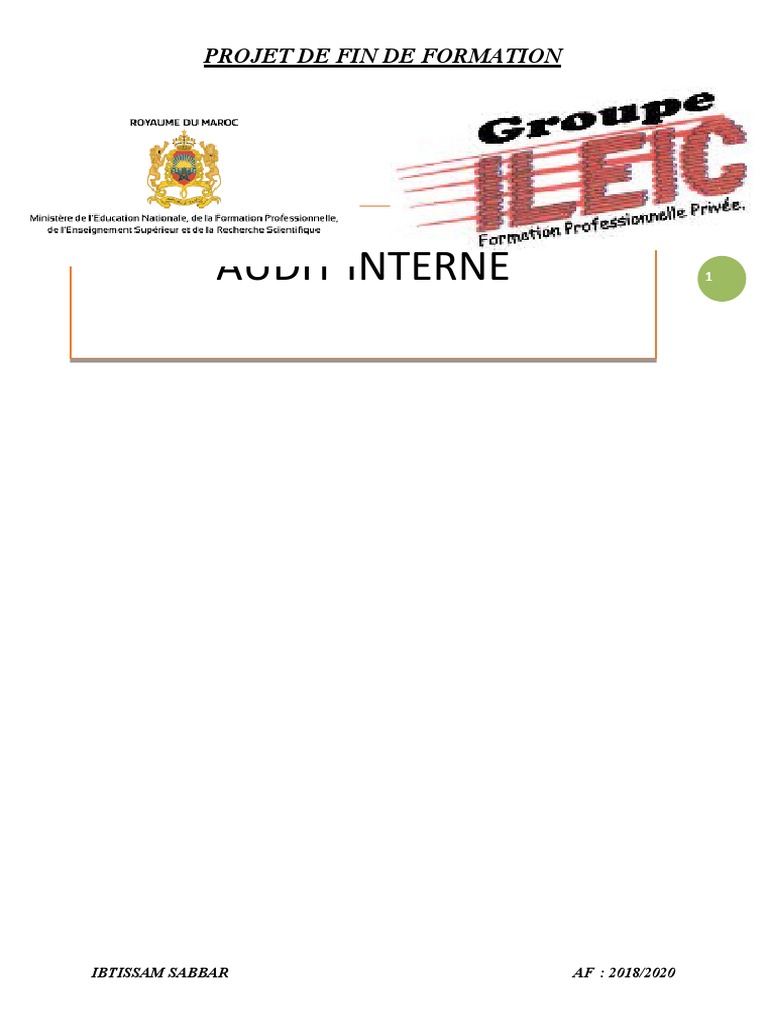 PFE Audit Interne | PDF | Audit interne | Audit