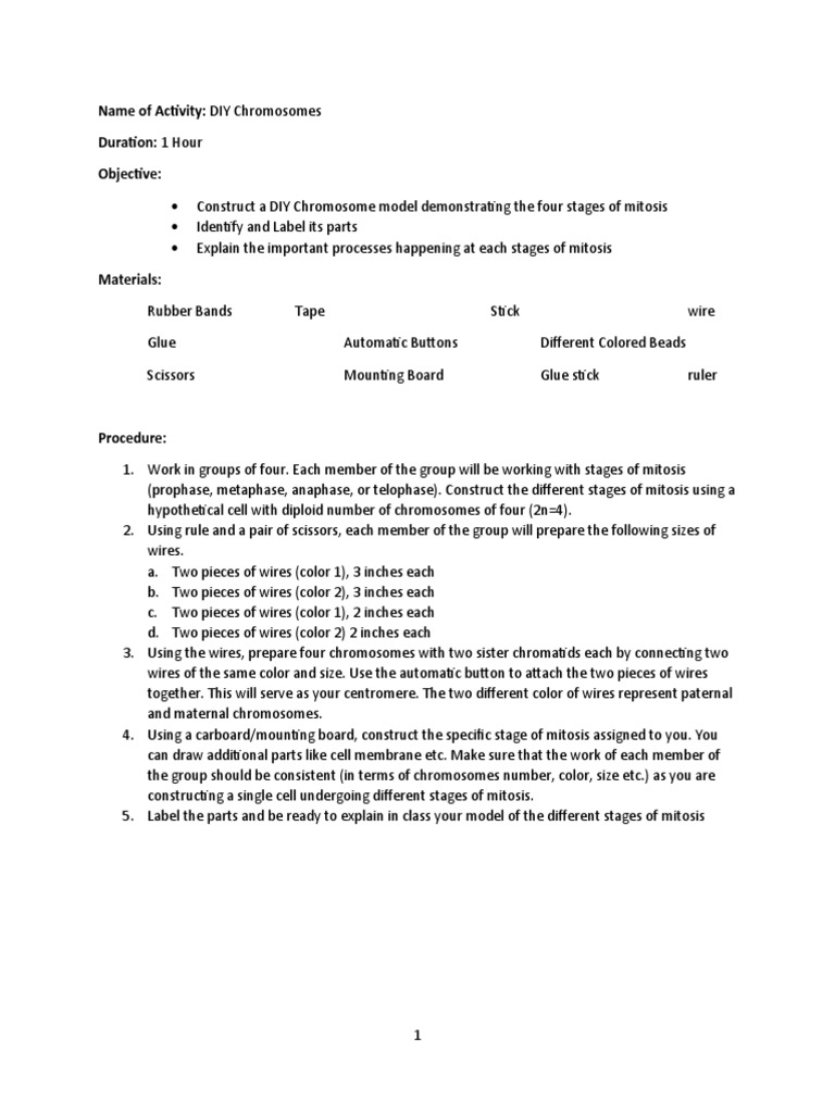 Diy Chromosome Model Act Sheet | PDF | Mitosis | Chromosome
