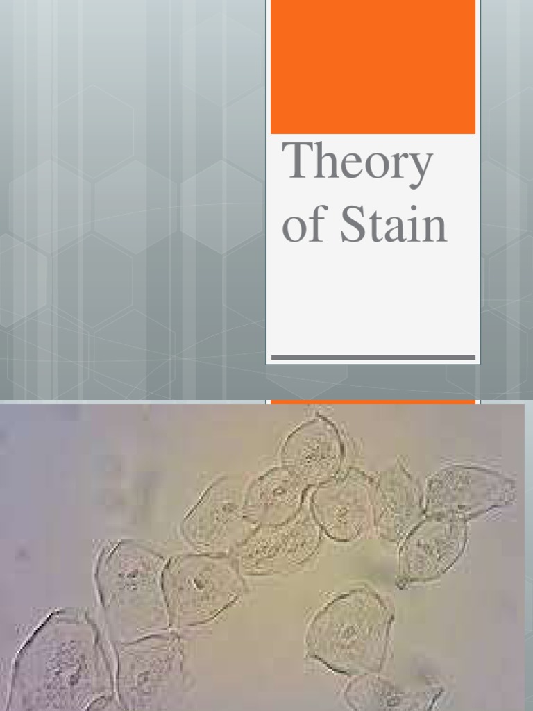 Theory of Stain | PDF | Staining | Dye