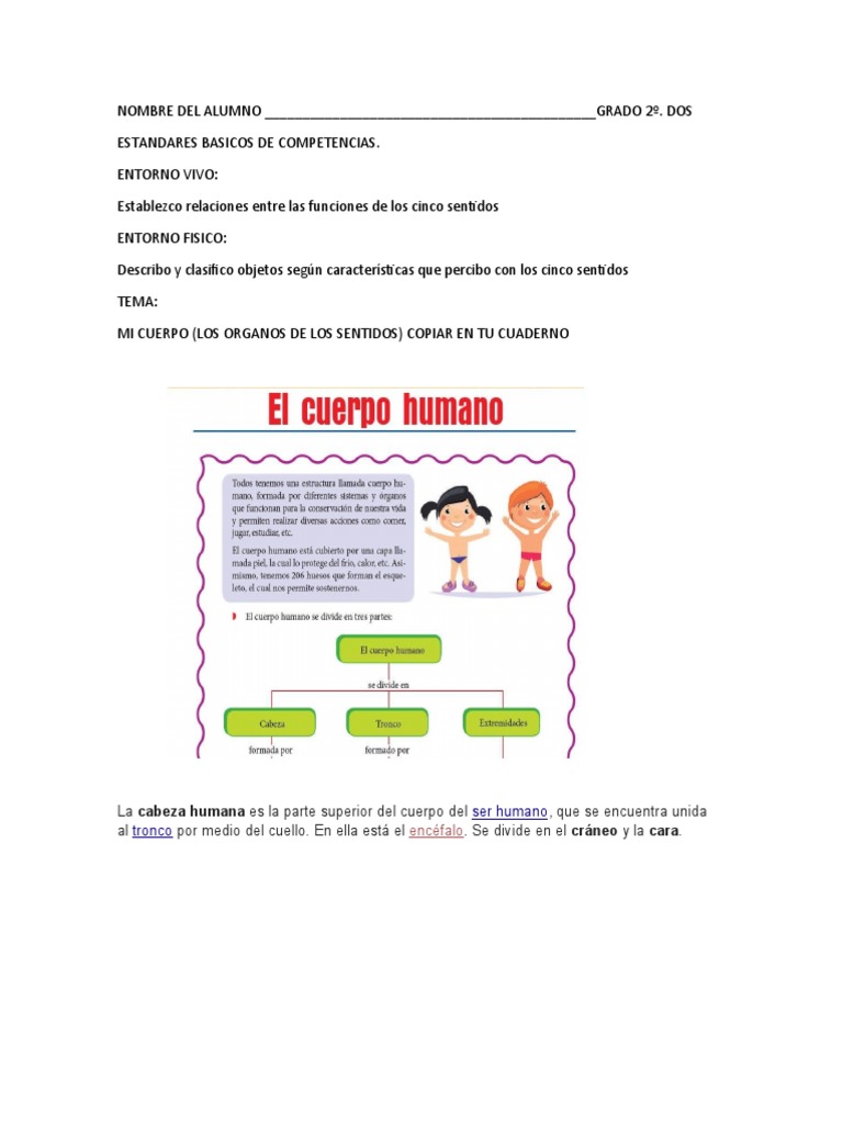 Taller de Ciencias Naturales Segundo Periodo | PDF
