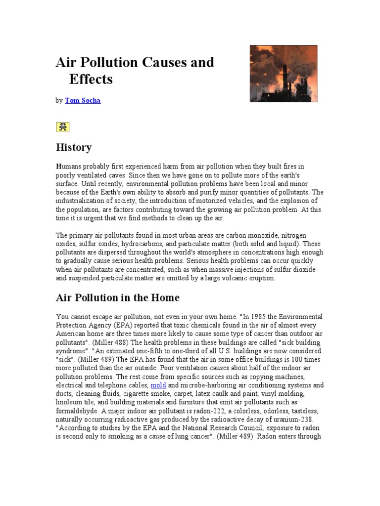 Understanding Air Pollution Effects | PDF | Air Pollution | Smog