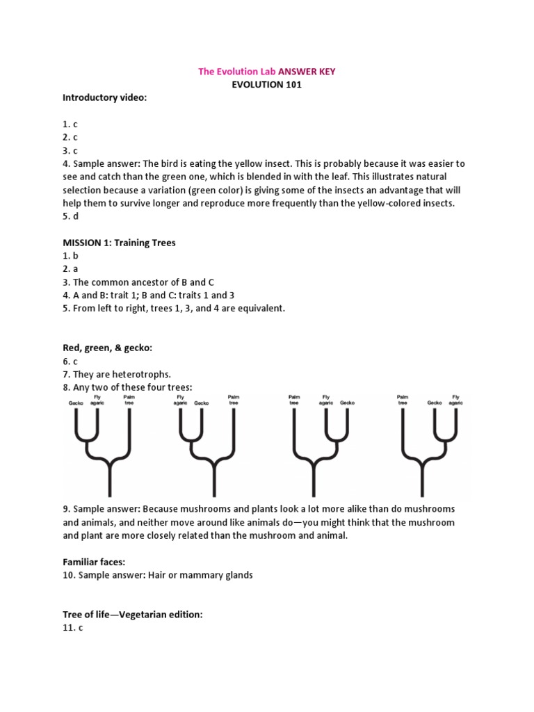 Nova Evolution Lab ANSWER KEYMissions1-3 PDF | PDF | Dinosaurs | Evolution