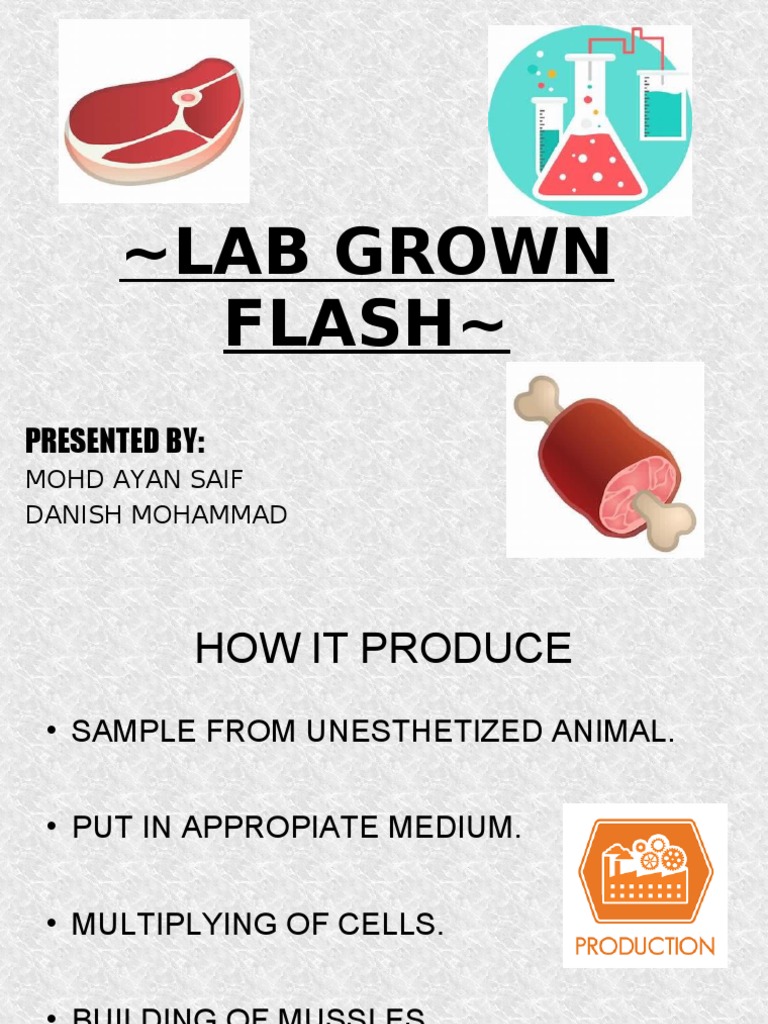LAB FLASH (Danish) | PDF | Social Science | Technology & Engineering