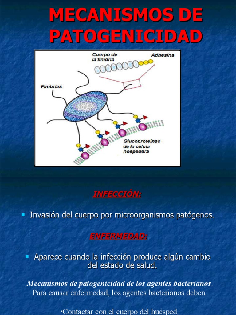 CLASE 6 MECANISMOS DE PATOGENICIDAD | Lipopolisacárido | Las bacterias