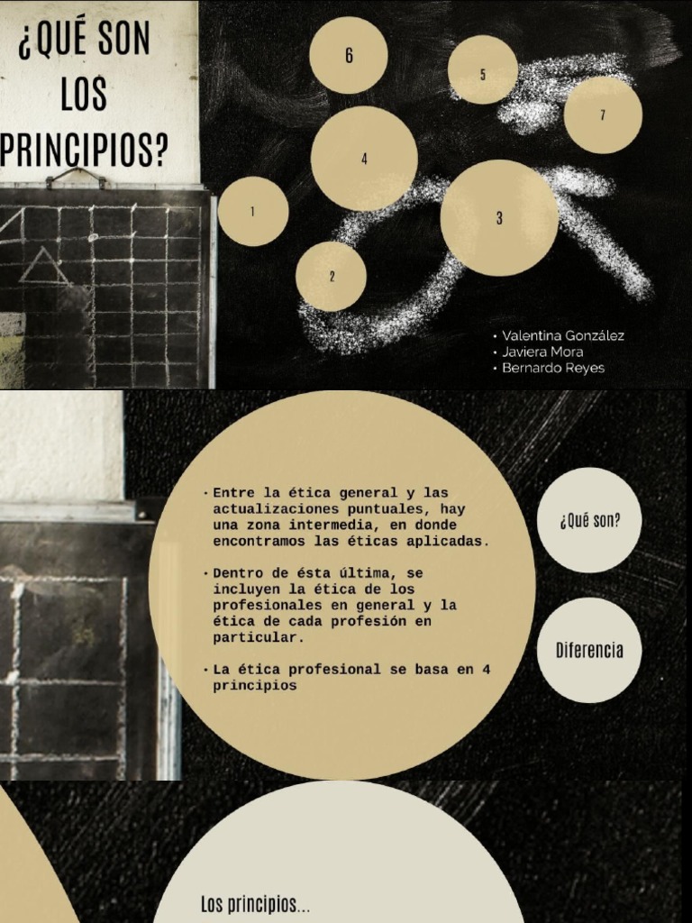Que Son Los Principios | PDF