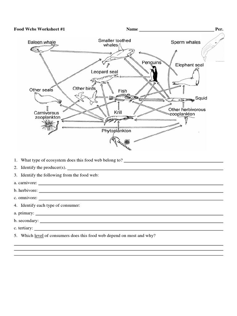 Food Web Analysis Worksheet | PDF | Wellness | Science & Mathematics