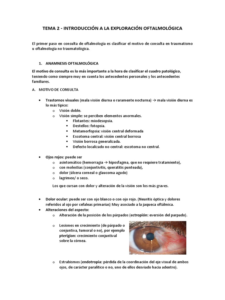 Indroducción A La Exploración Oftalmológica | PDF | Ojo humano ...